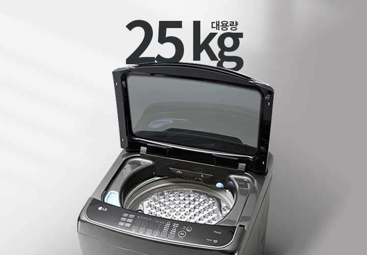 LG 통돌이 세탁기 | TS25BVD | LG전자