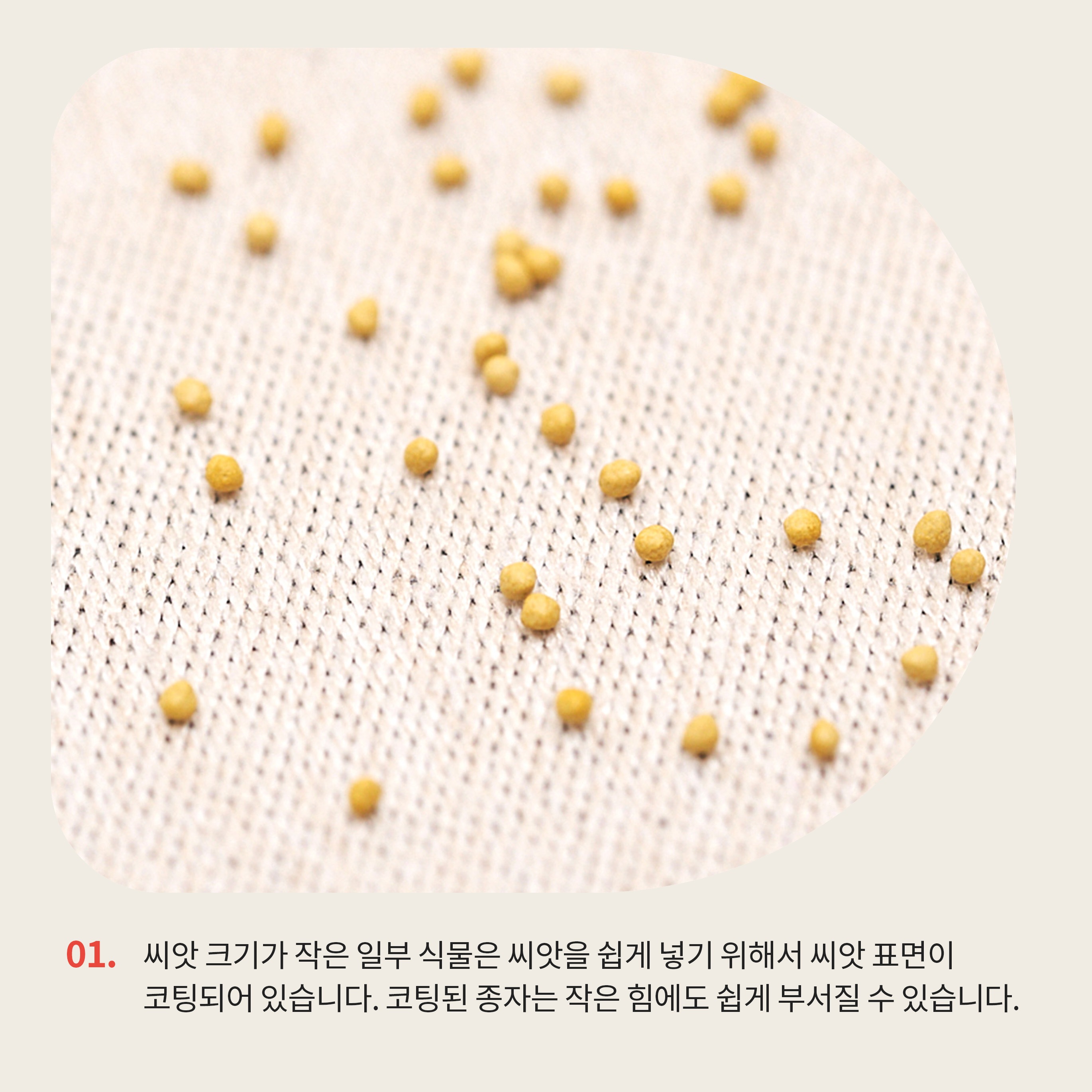 틔운 씨앗 보관 방법과 투입 방법 알아보기 | LG전자